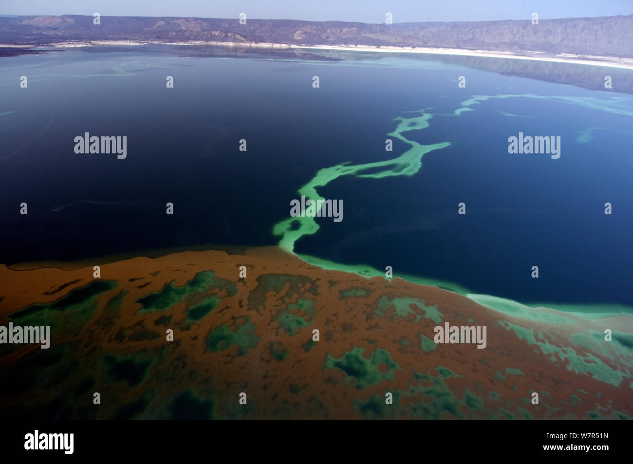 Lake Assal shoreline - Africas lowest point at 515 feet below sea level ...