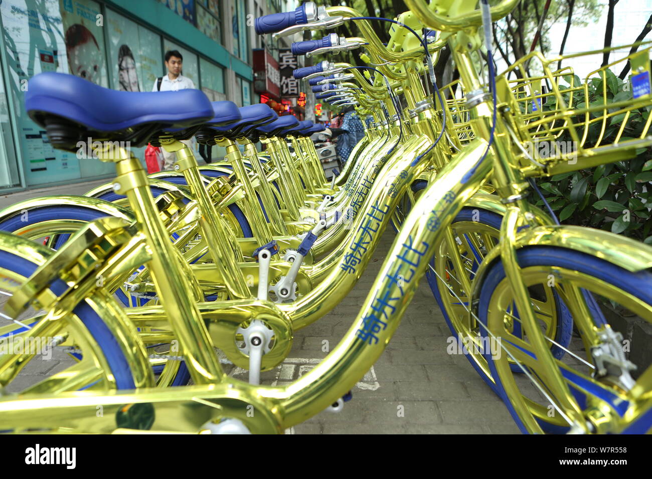 Golden bicycles of Chinese bike-sharing service Coolqi are lined up on ...