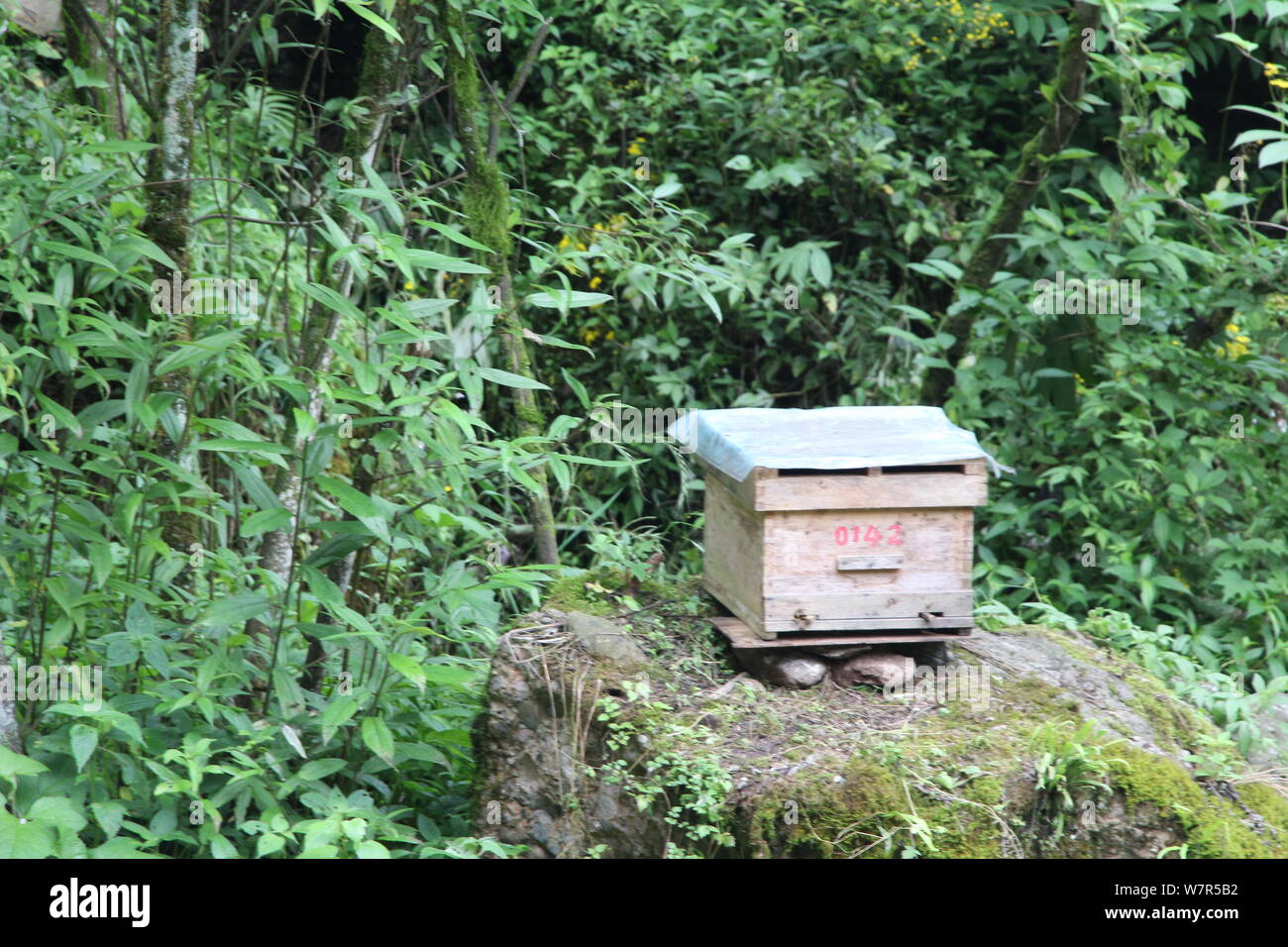 China beehive hi-res stock photography and images - Alamy