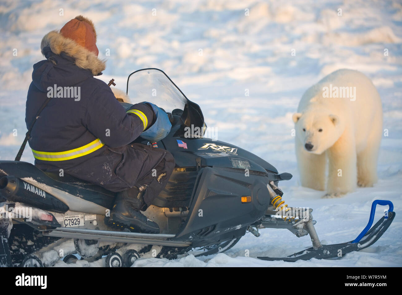 Skidoo hi-res stock photography and images - Alamy