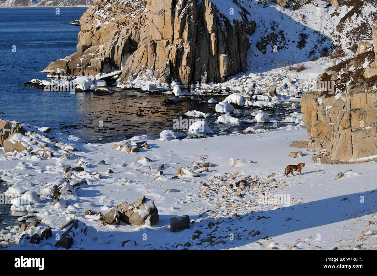 Lazo reserve hi-res stock photography and images - Alamy