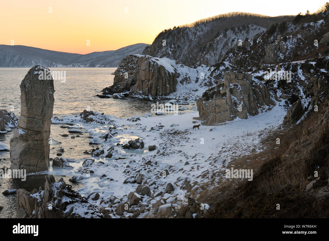 Lazo hi-res stock photography and images - Alamy