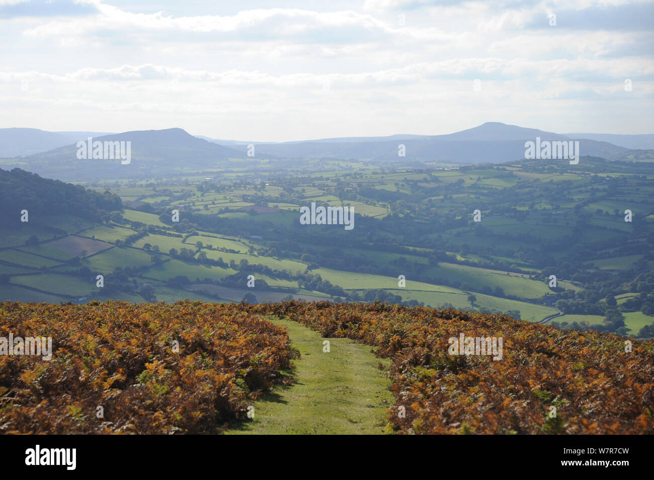 Skirrid hill hi-res stock photography and images - Alamy