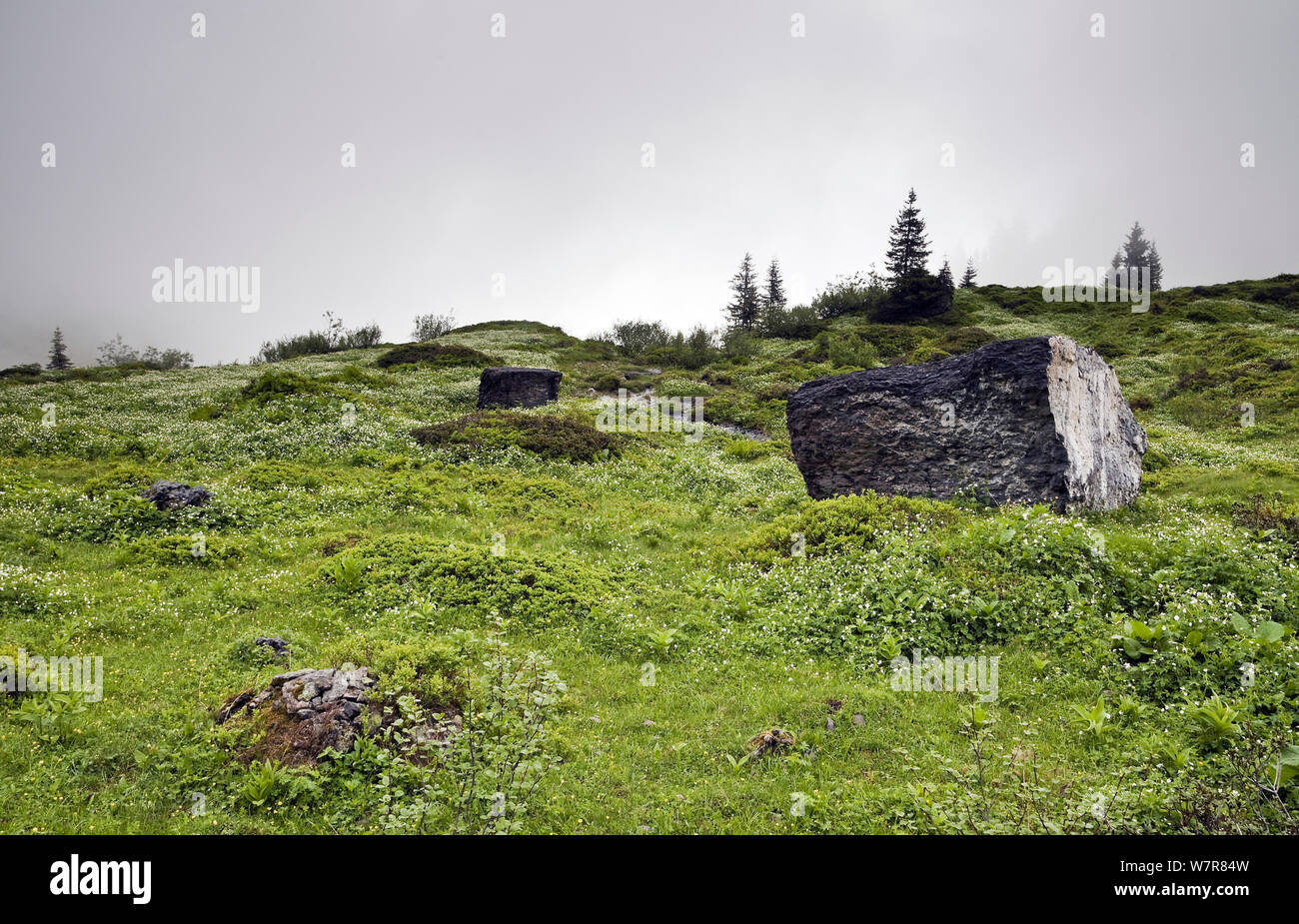 Glacial erratics rocks hi-res stock photography and images - Alamy
