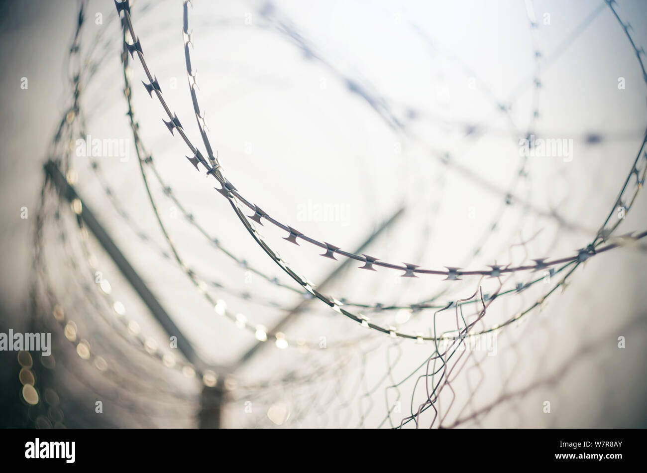 Razor wire metal mesh fence hi-res stock photography and images - Alamy