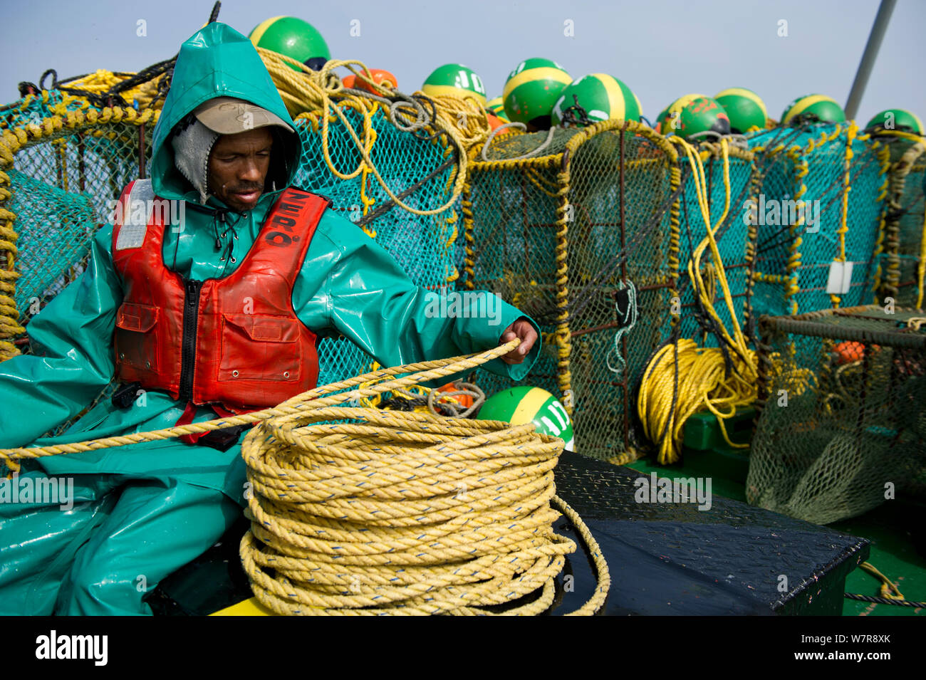 Fishing for West coast rock lobster (Jasus lalandii). Crew lowering ...