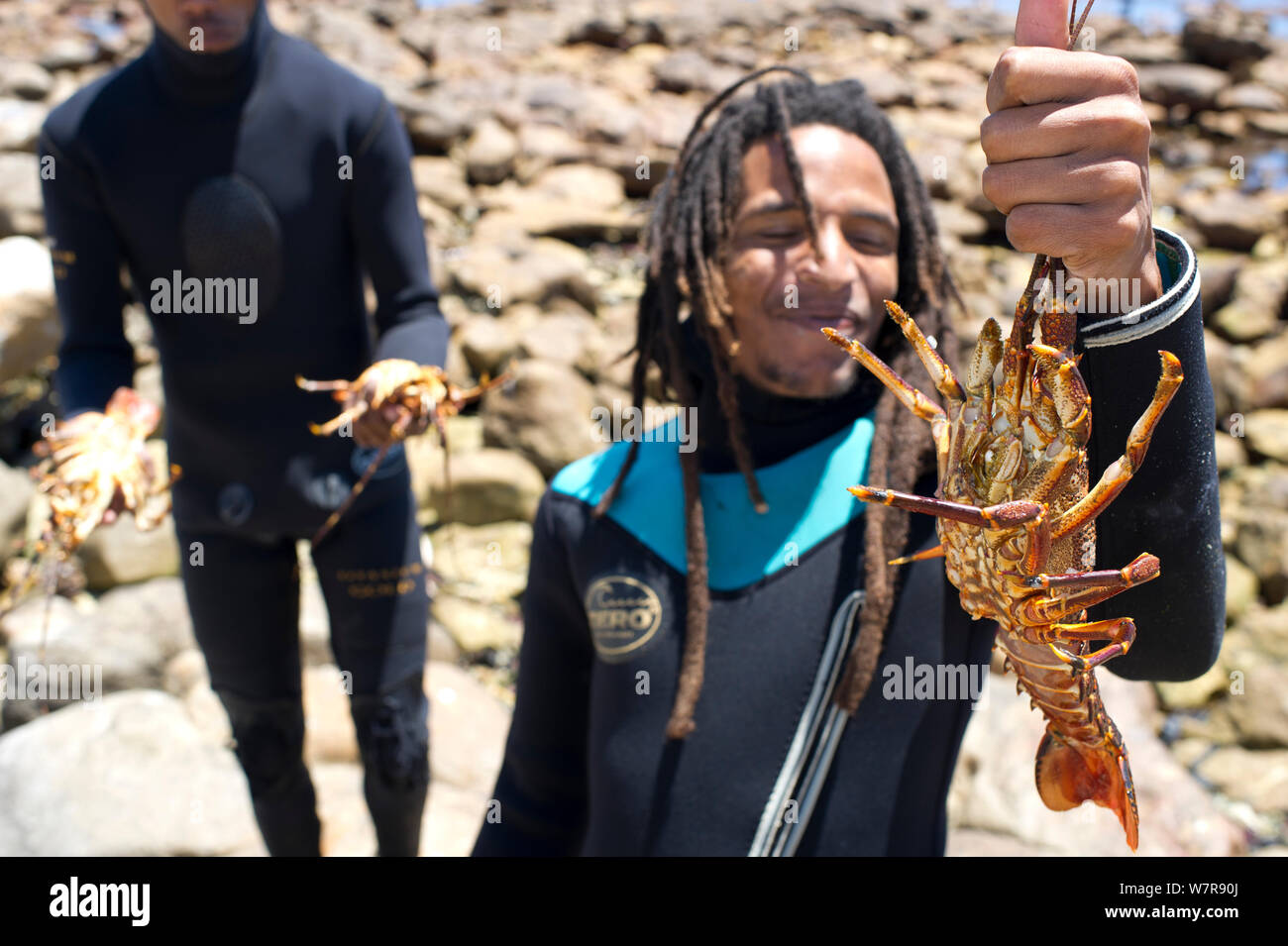 Rock lobsters hi-res stock photography and images - Alamy
