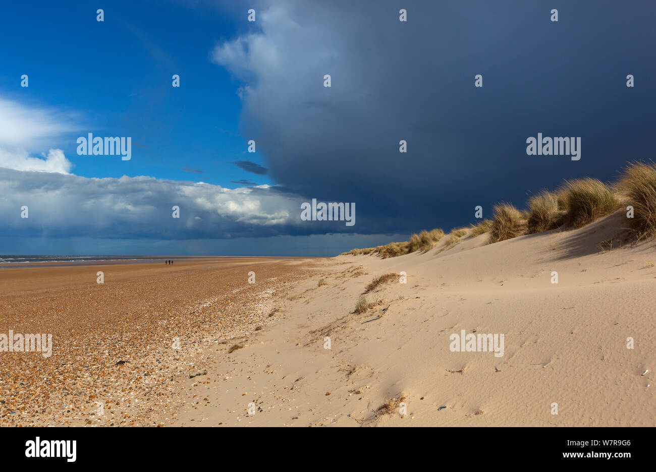 Holkham Bay National Nature Reserve in stormy weather, Norfolk UK ...