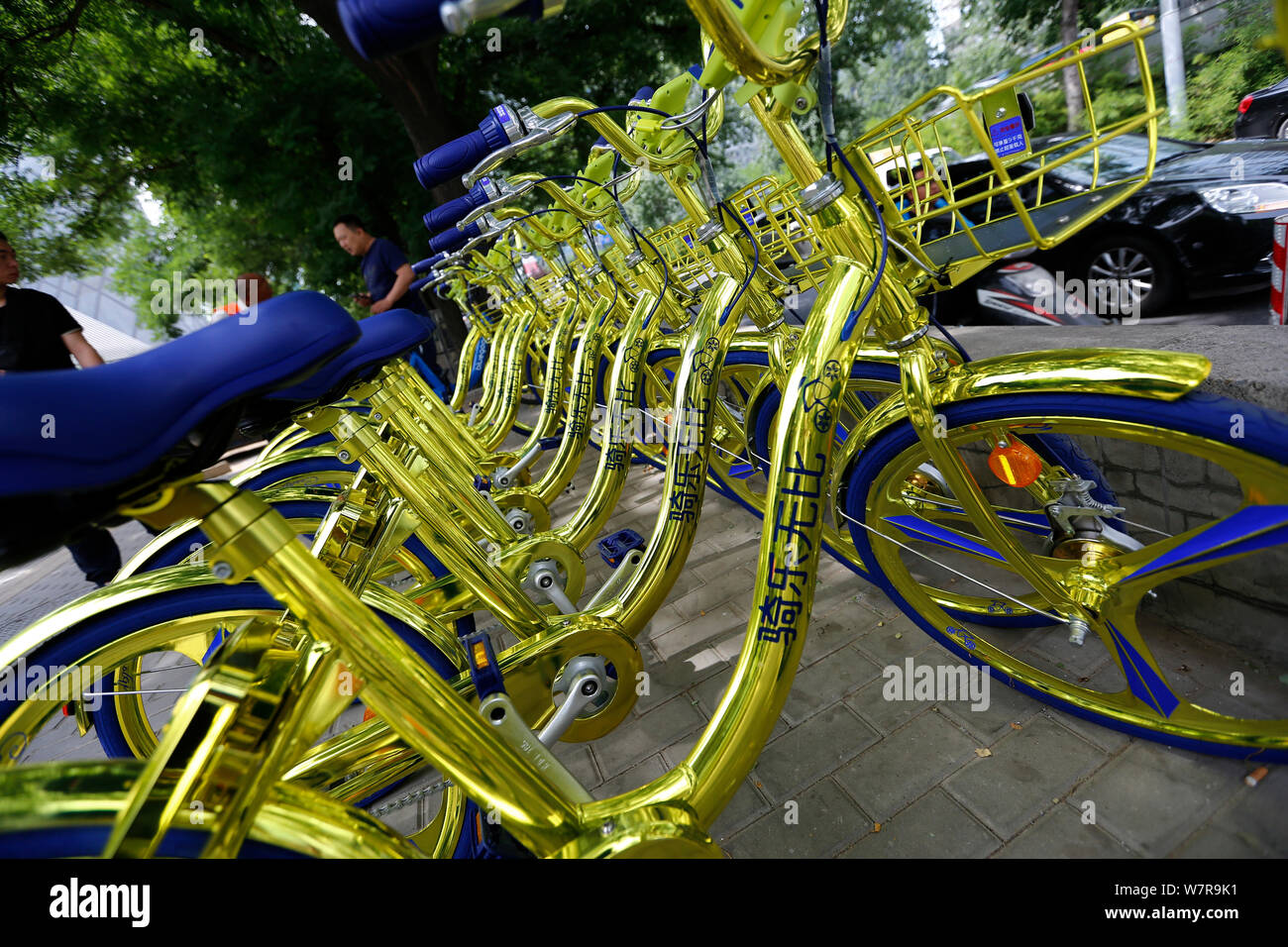 Golden bicycles of Chinese bike-sharing service Coolqi are lined up on ...