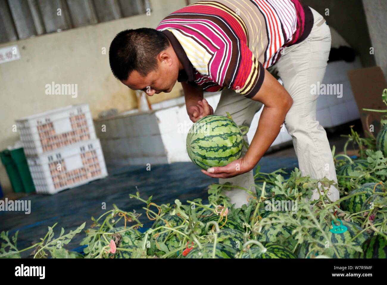 Knocking in hi-res stock photography and images - Alamy