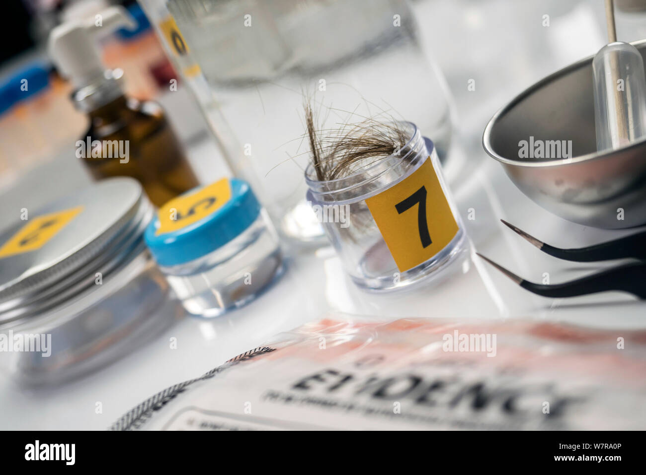 Hair sample murder hi-res stock photography and images - Alamy