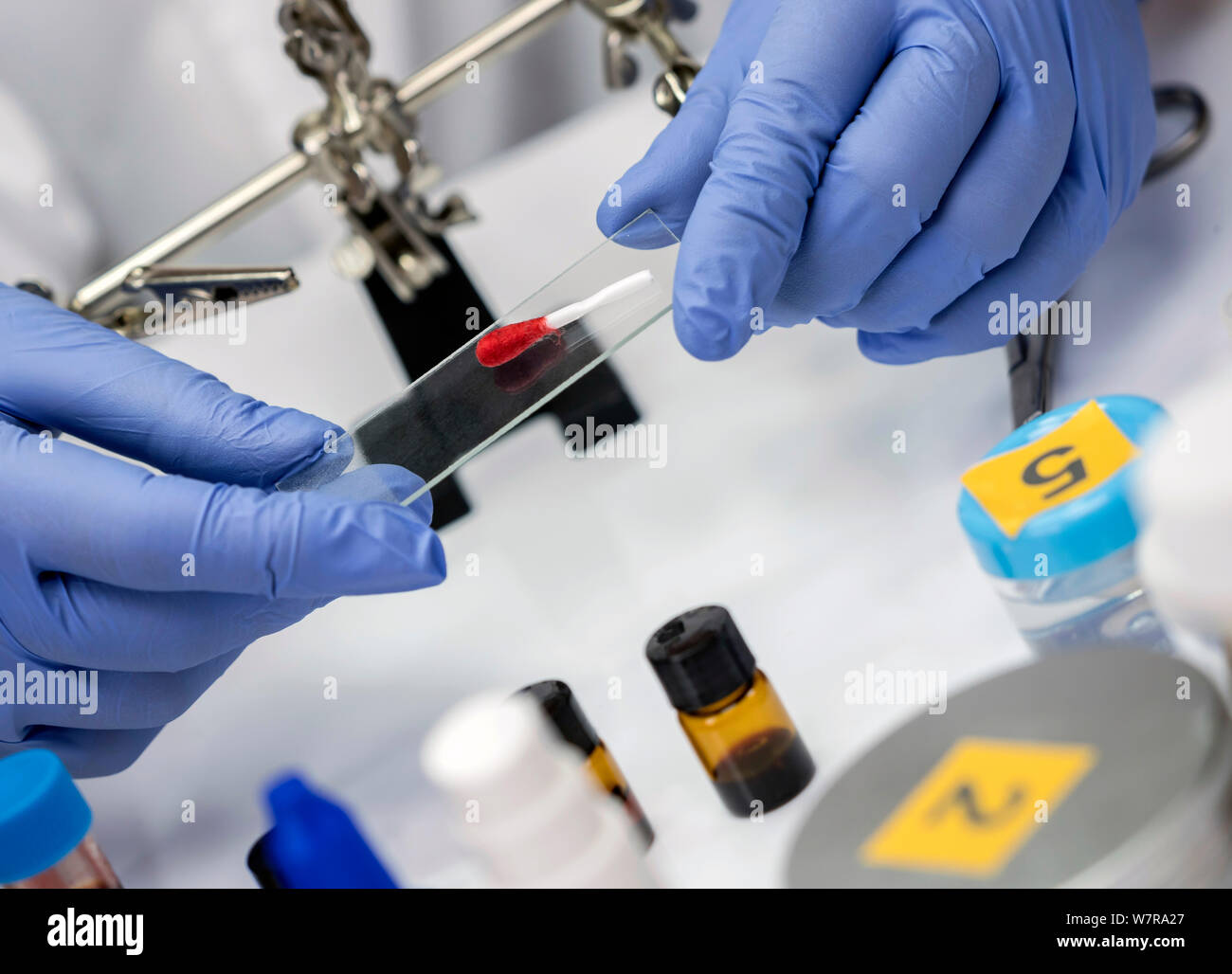 Forensic fingerprint microscope hi-res stock photography and images - Alamy