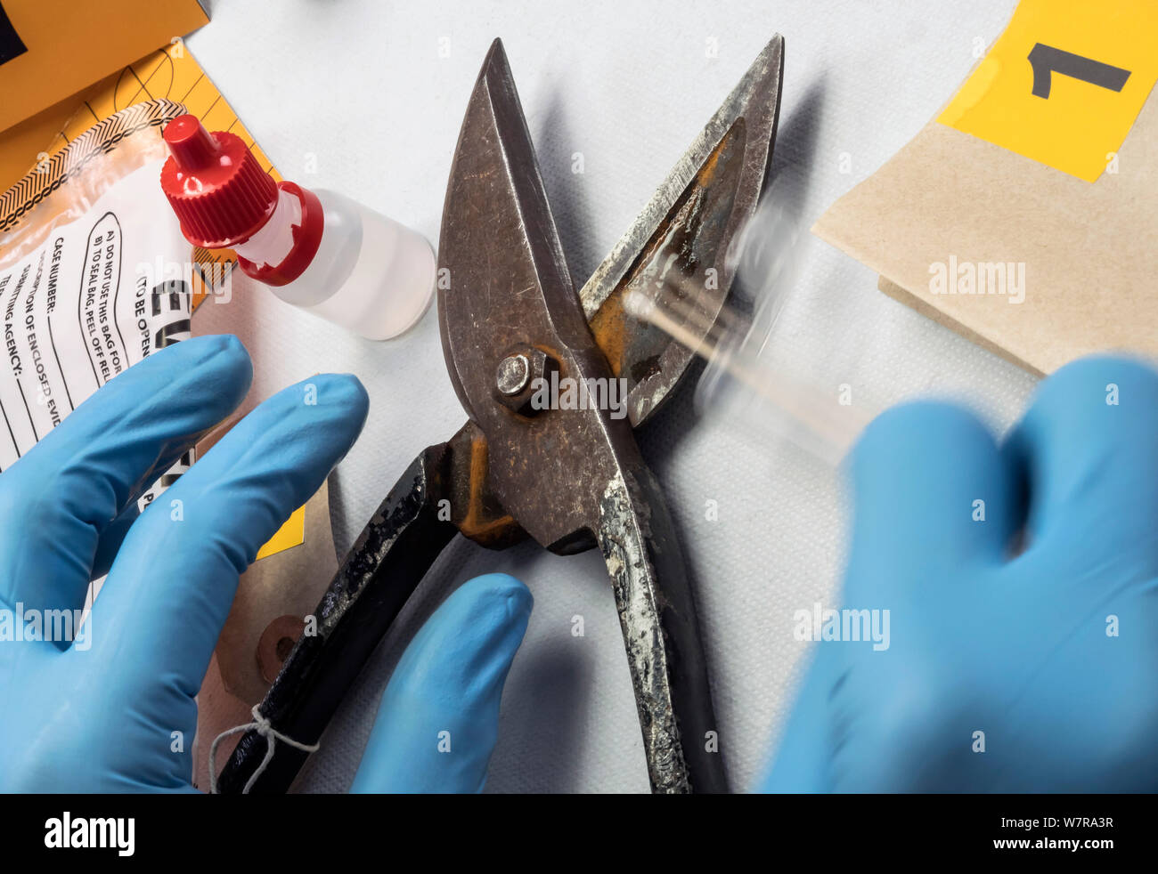 Police scientist extracts DNA sample from a tweezers in a crime lab ...