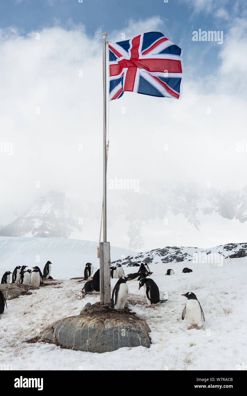 Flags Of Antarctica High Resolution Stock Photography and Images - Alamy