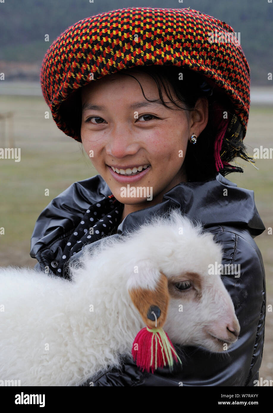 Tibetan goat hi-res stock photography and images - Alamy