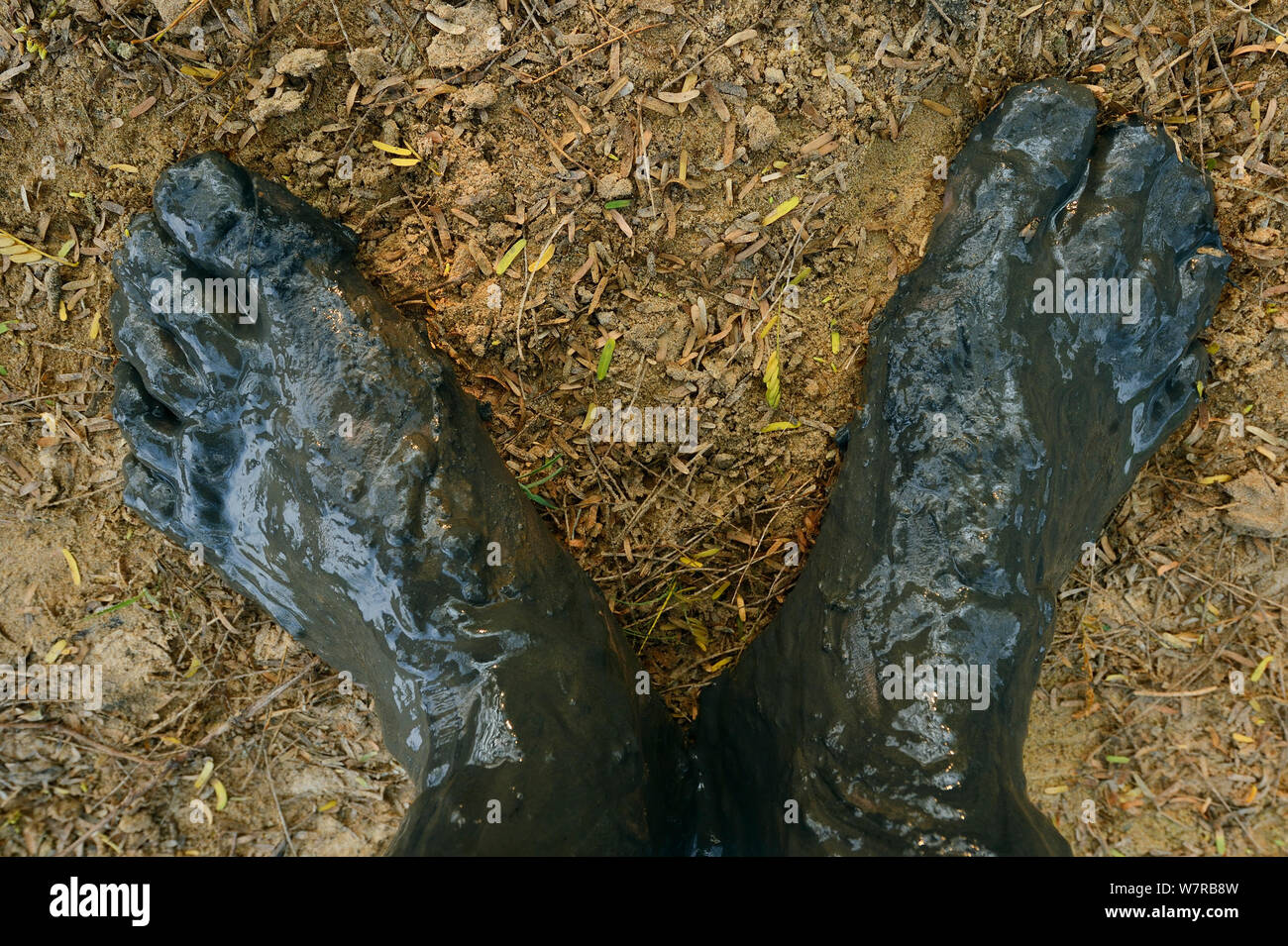 Males feet hi-res stock photography and images - Alamy