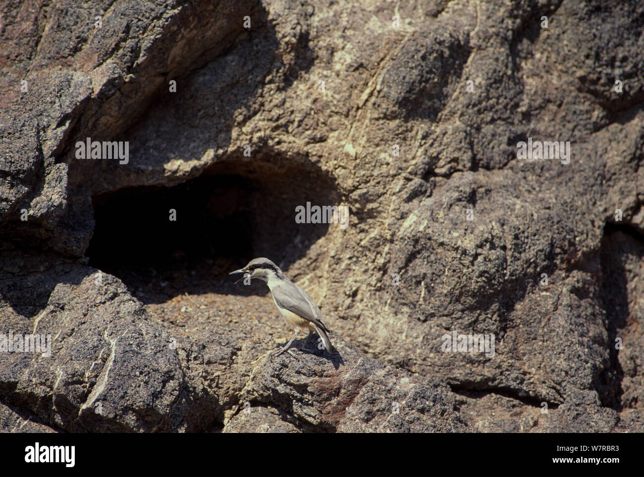 Khar turan national park hi-res stock photography and images - Alamy