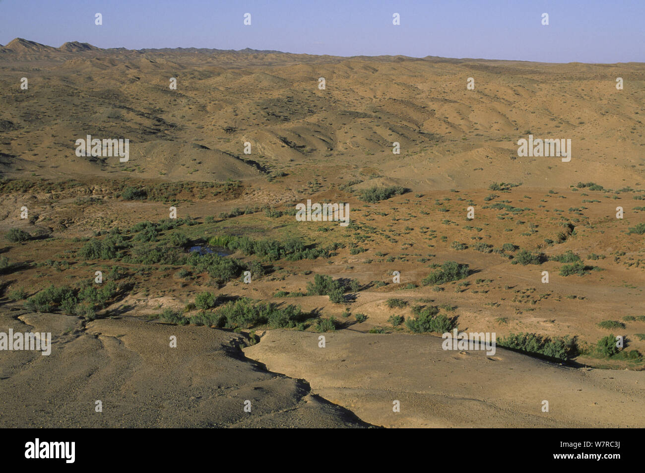 Arid landscape in Touran, Semnan Province, Iran Stock Photo - Alamy