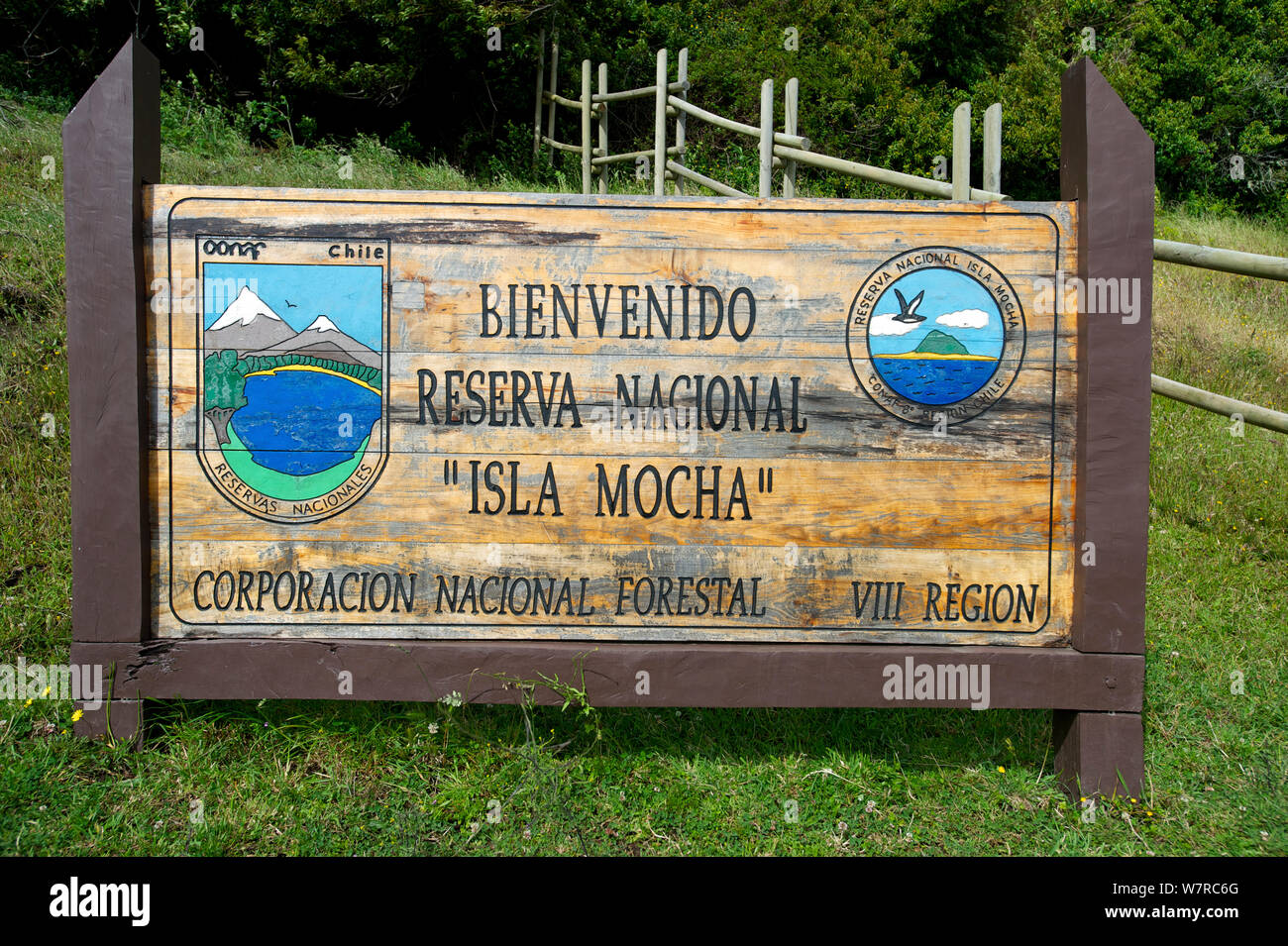 Mocha island chile hi-res stock photography and images - Alamy