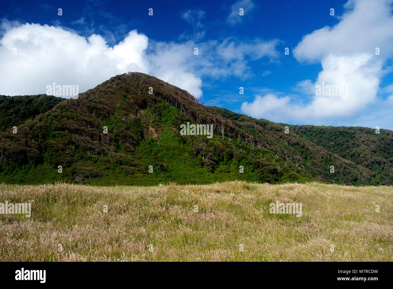 Mocha island chile hi-res stock photography and images - Alamy