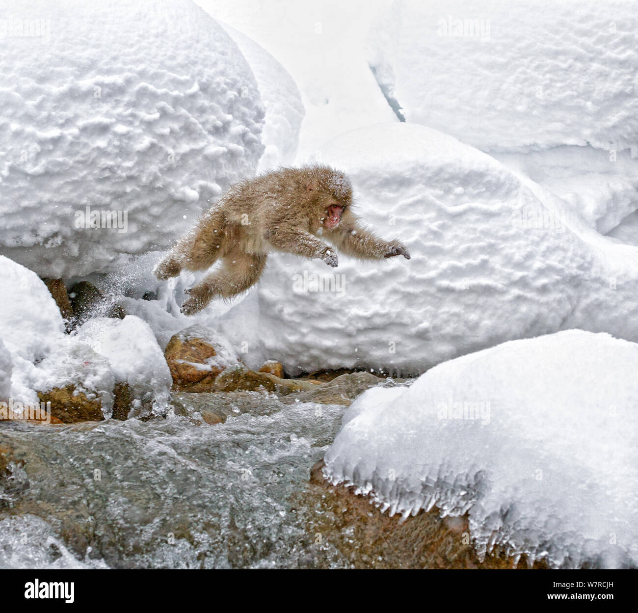 Jumping across asia hi-res stock photography and images - Alamy