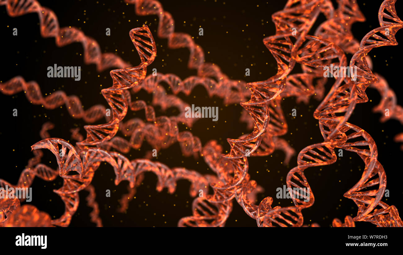 DNA code. Abstract 3d polygonal wireframe DNA molecule helix spiral ...