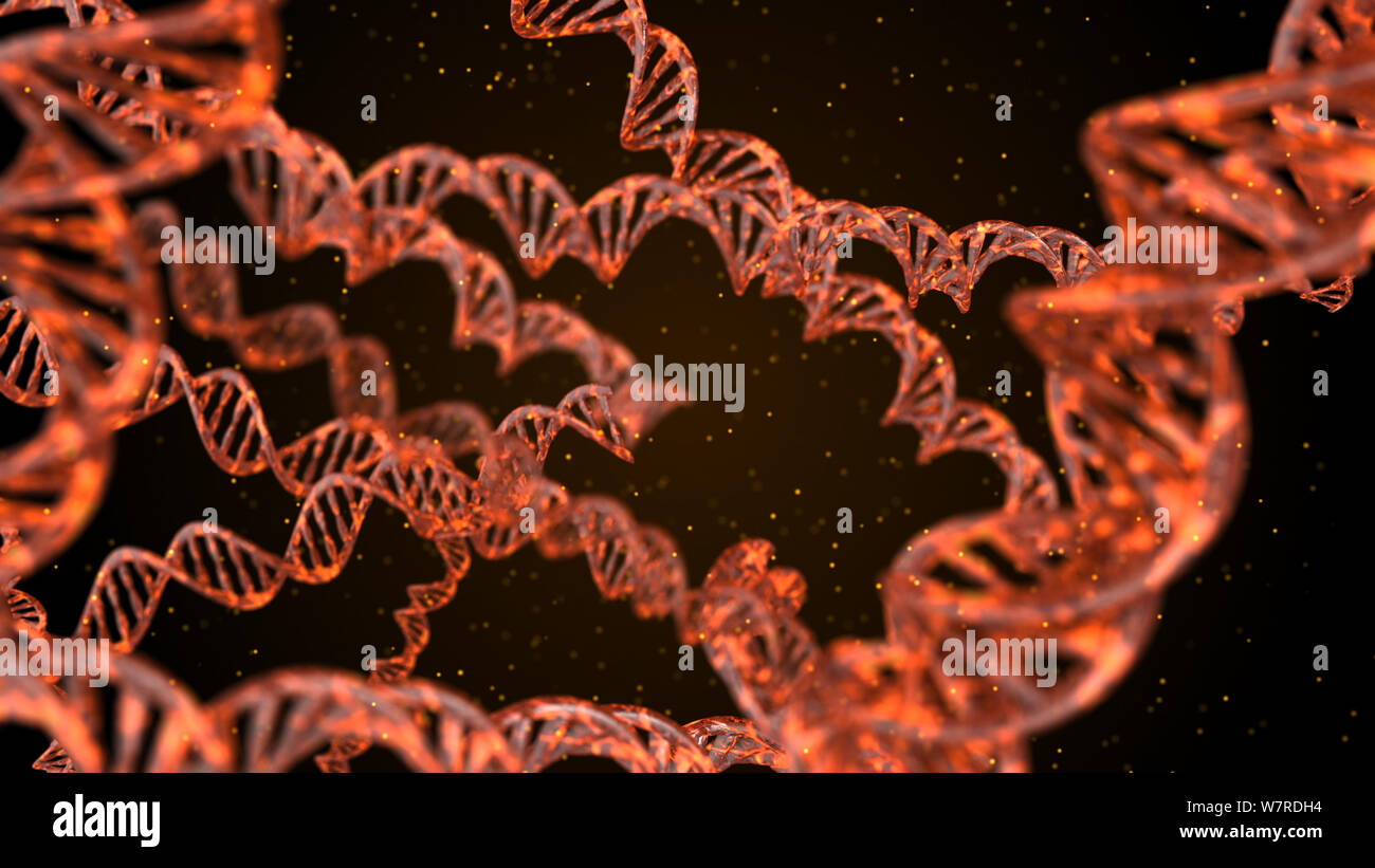 DNA code. Abstract 3d polygonal wireframe DNA molecule helix spiral ...