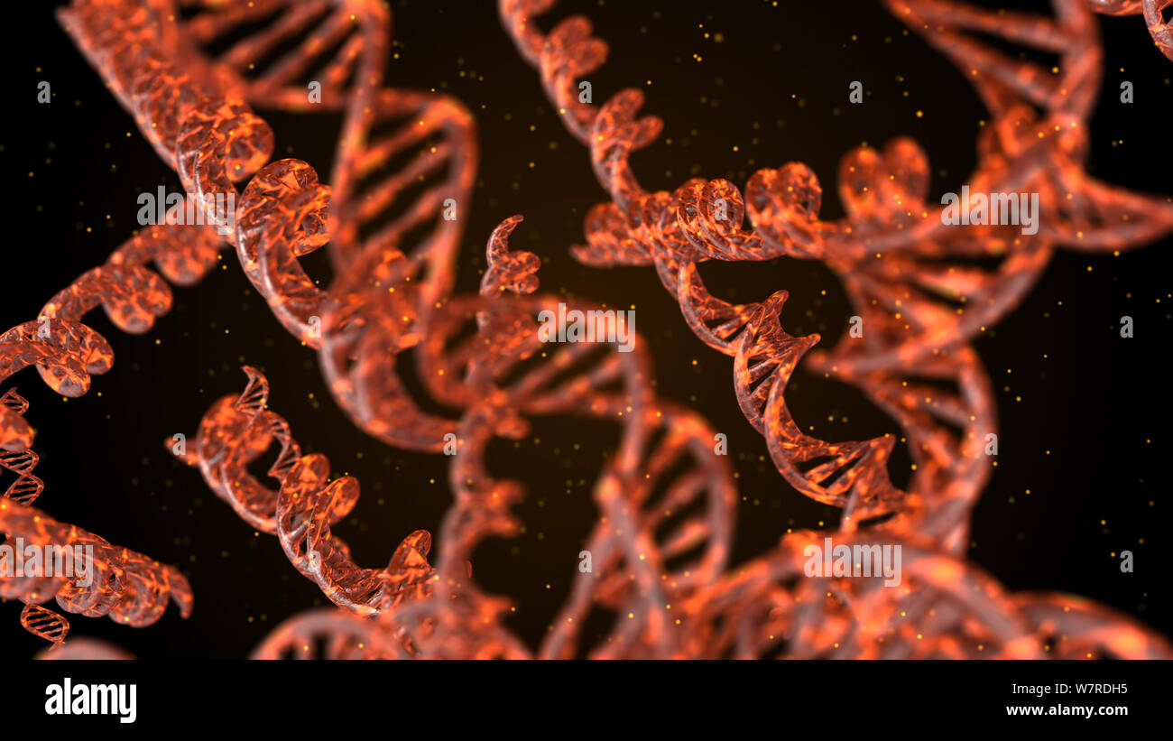 DNA code. Abstract 3d polygonal wireframe DNA molecule helix spiral ...