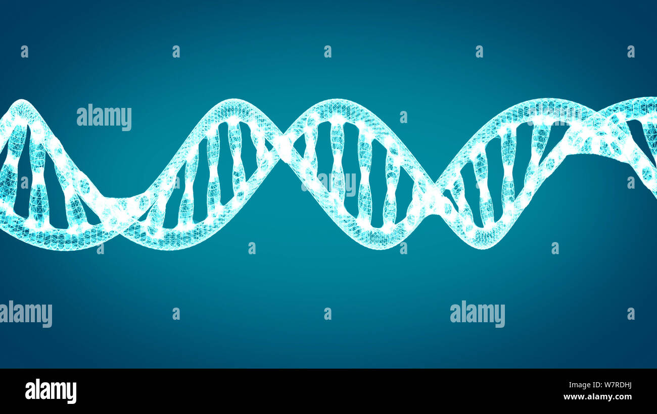 DNA code. Abstract 3d polygonal wireframe DNA molecule helix spiral ...