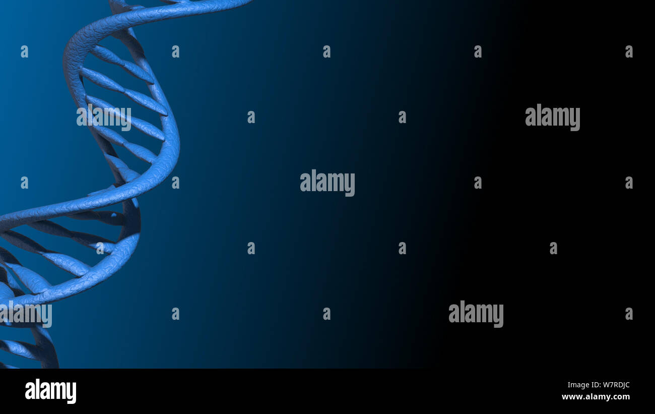 DNA code. Abstract 3d polygonal wireframe DNA molecule helix spiral ...