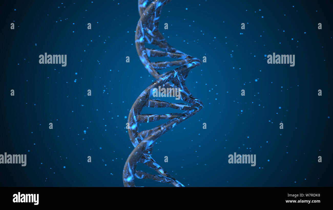DNA code. Abstract 3d polygonal wireframe DNA molecule helix spiral. Loop animation Stock Photo ...