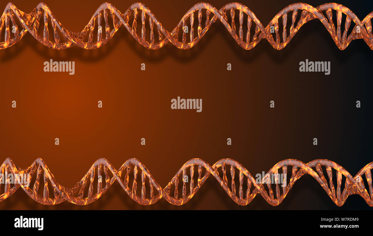 DNA code. Abstract 3d polygonal wireframe DNA molecule helix spiral ...