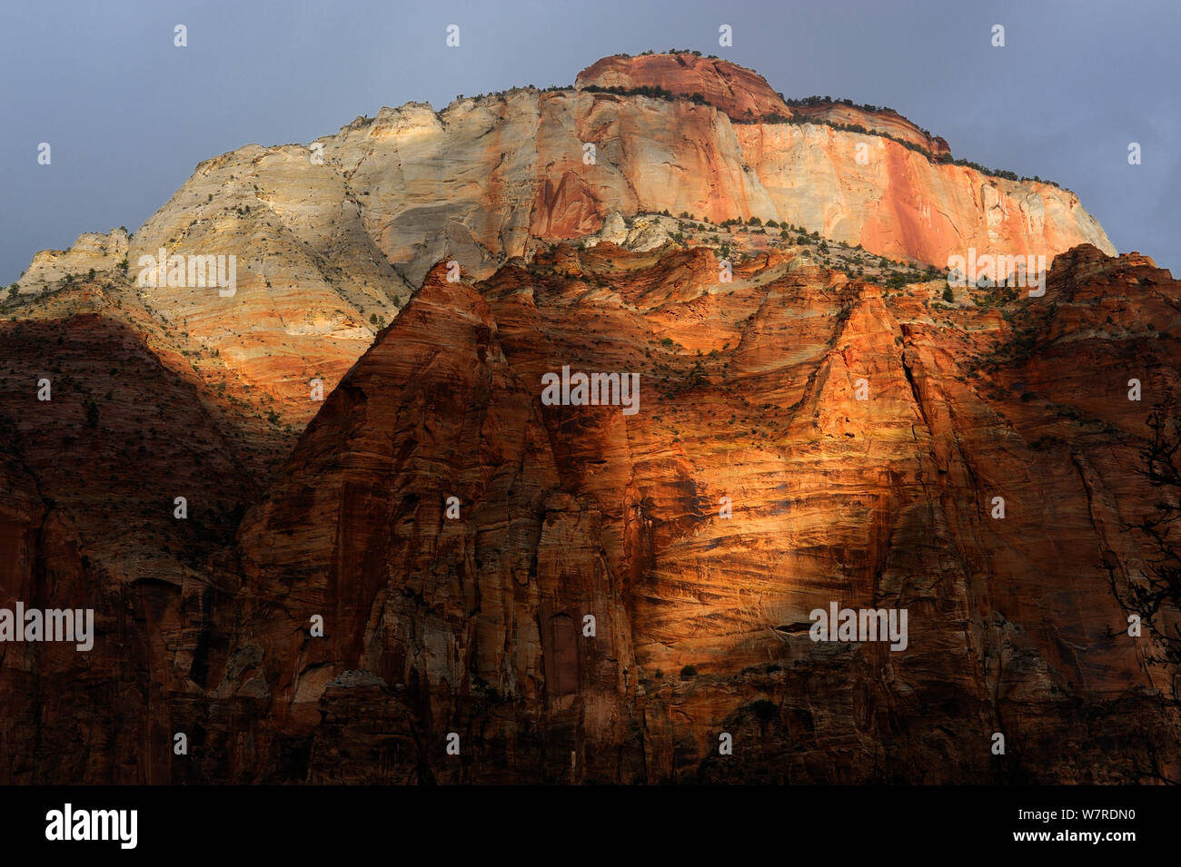 The west temple of zion hi-res stock photography and images - Alamy