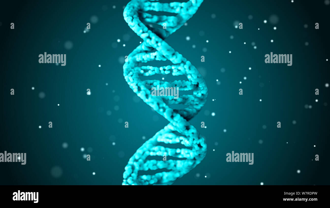 DNA code. Abstract 3d polygonal wireframe DNA molecule helix spiral ...