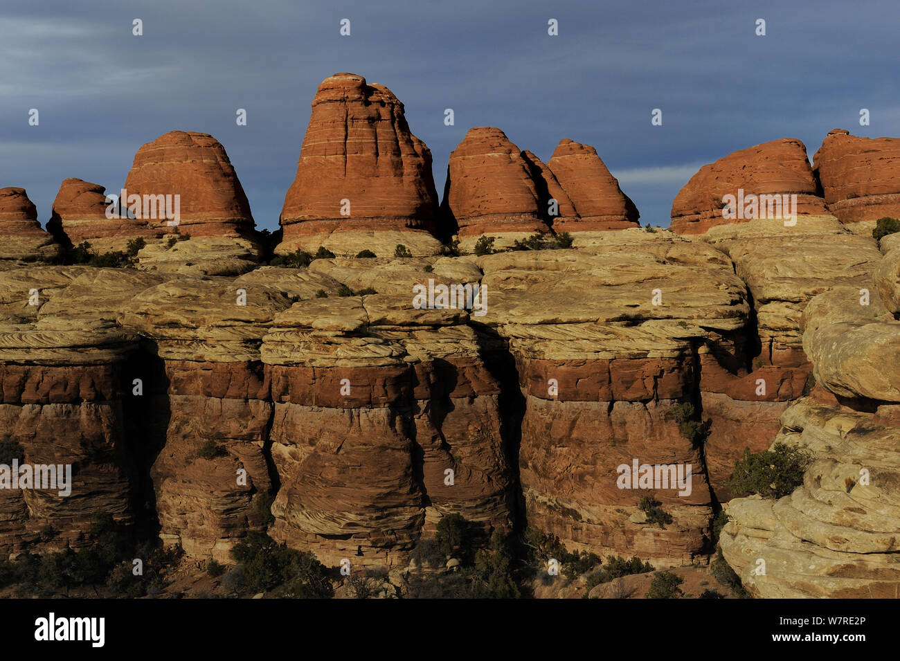 The Needles, patterns formed by erosion in sandstone, Canyonlands ...