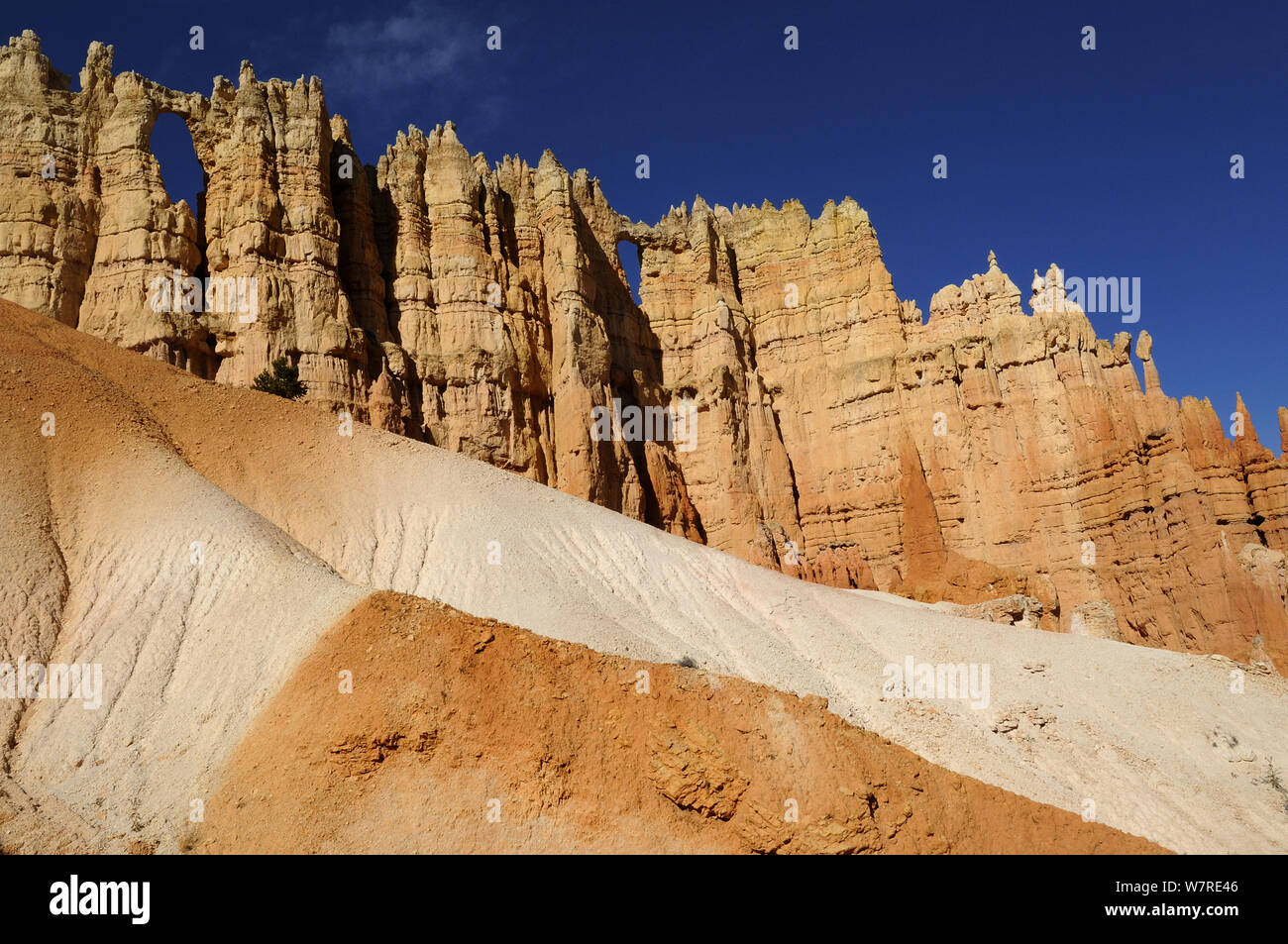Bryce canyon wall of windows hi-res stock photography and images - Alamy