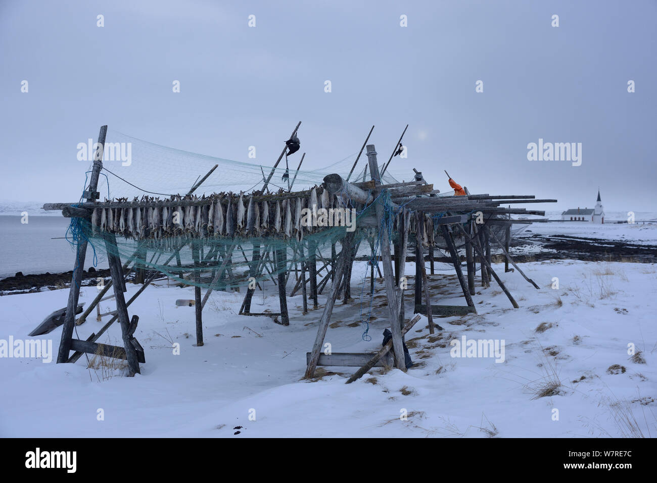 Fish drying on racks hi-res stock photography and images - Alamy