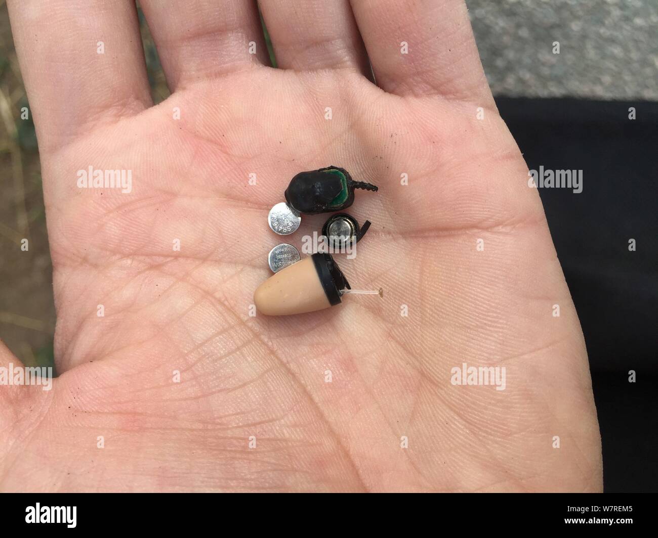 Cheating test hi-res stock photography and images - Alamy