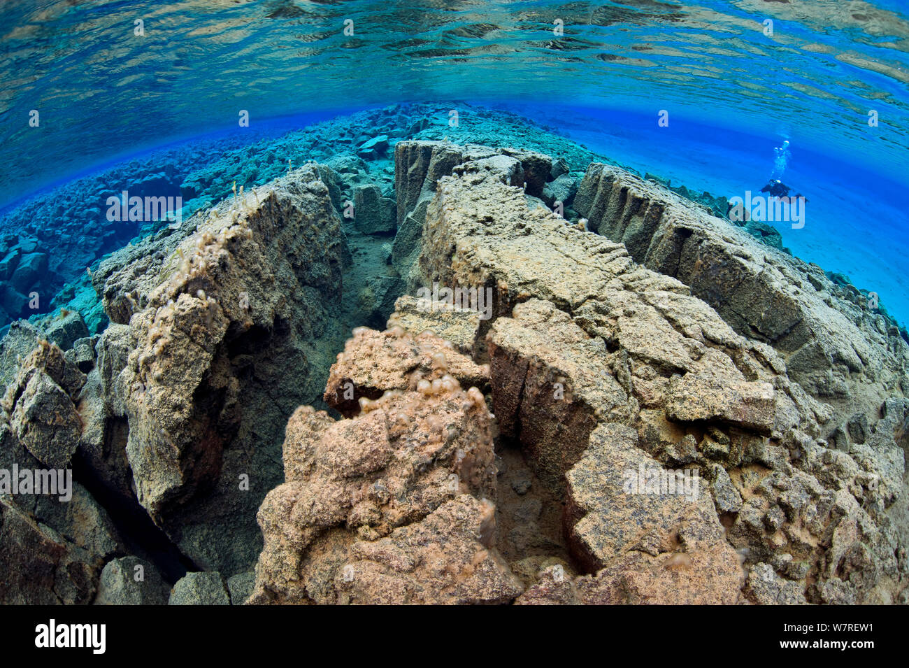 Diver explores fractures in the volcanic rocks within the Blue lagoon ...
