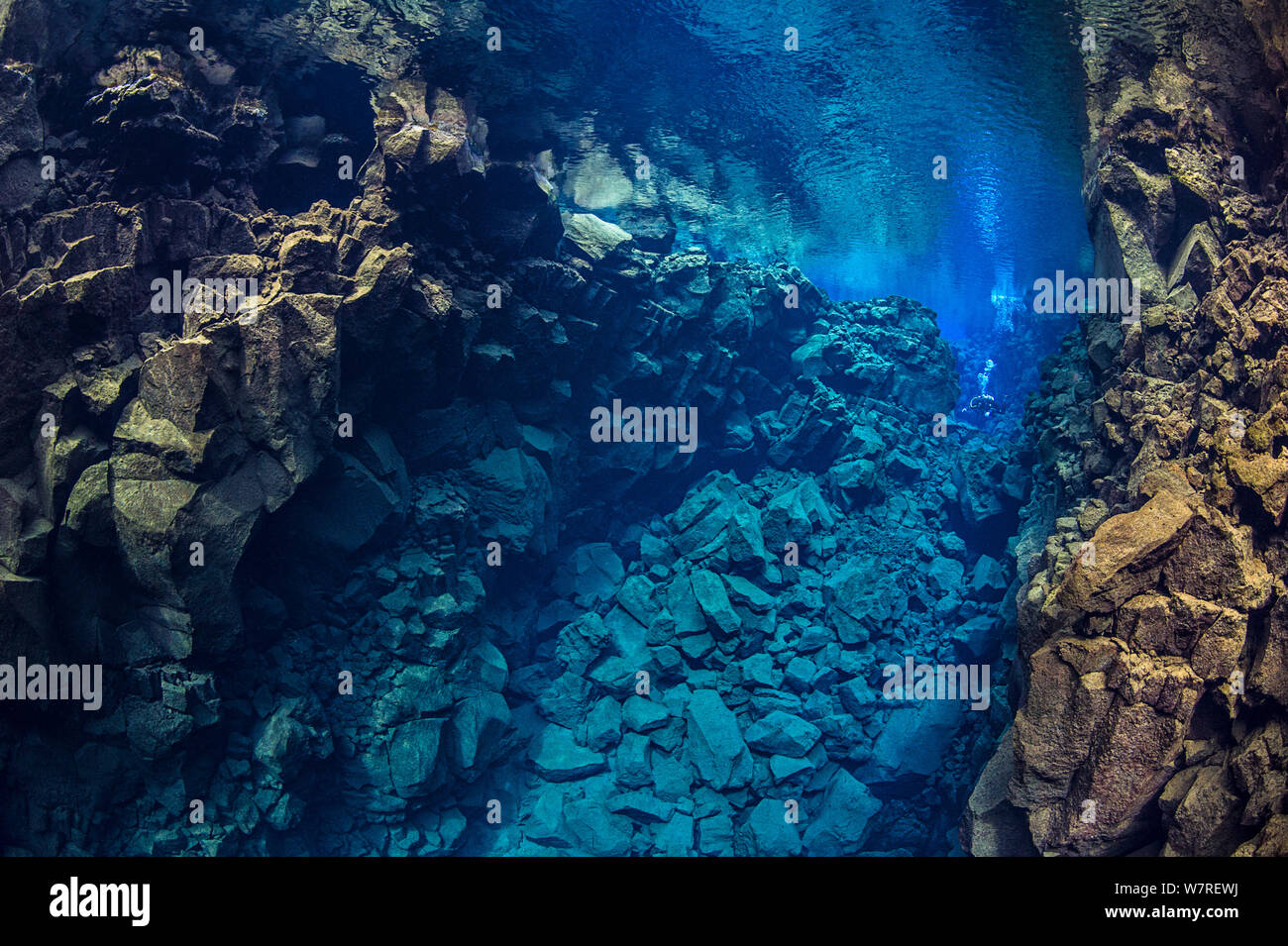 Silfra canyon diver explores hi-res stock photography and images - Alamy