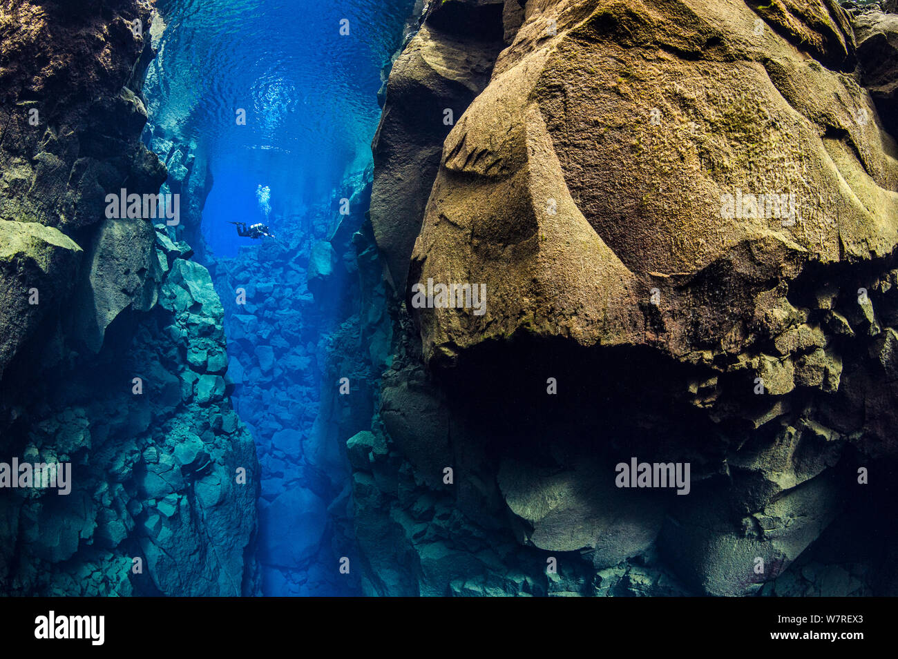 Silfra canyon diver explores hi-res stock photography and images - Alamy