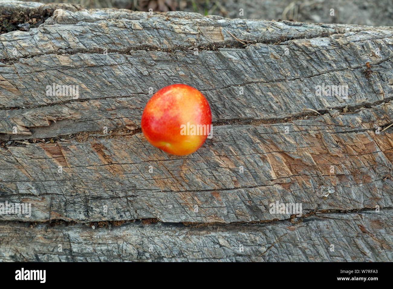 Plum group on wood hi-res stock photography and images - Alamy