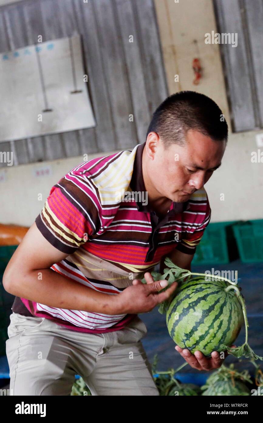 Knocking in hi-res stock photography and images - Alamy