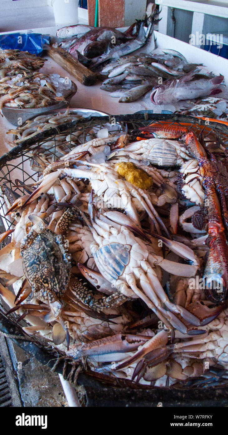 Carcass crab hi-res stock photography and images - Alamy