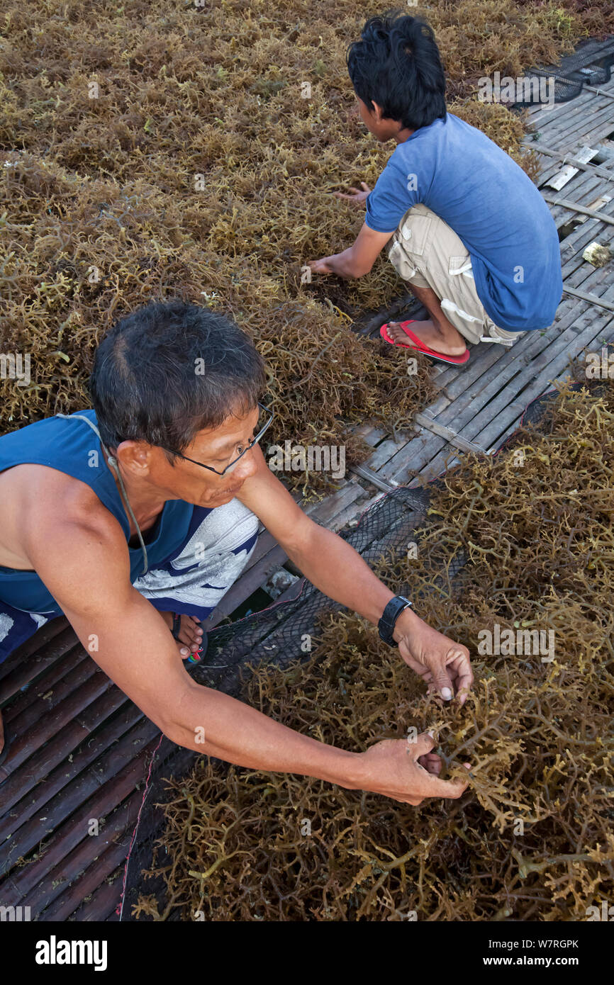 Pacific islands people hi-res stock photography and images - Alamy