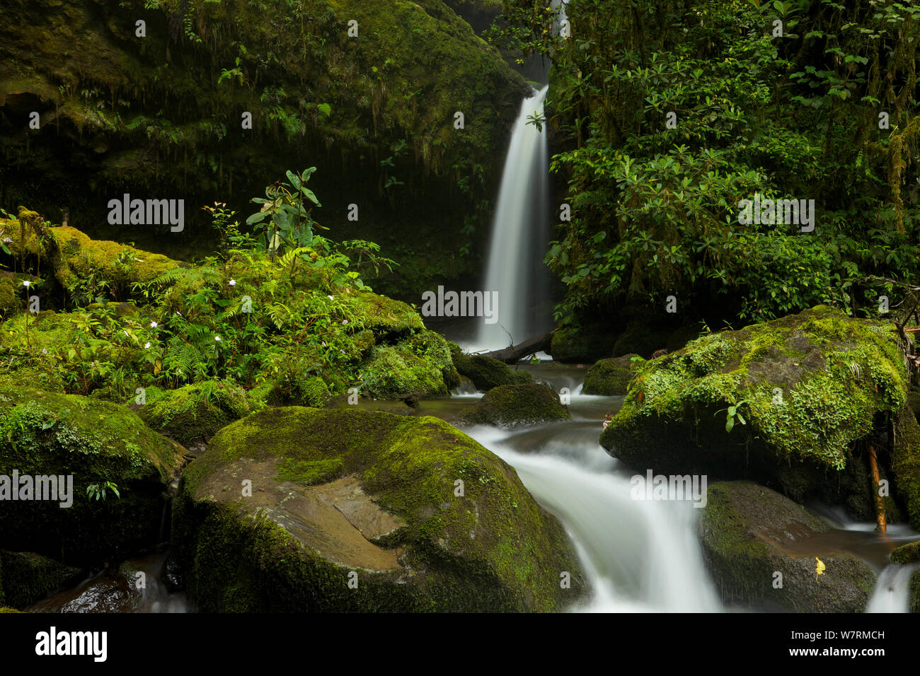 Ambua waterfall hi-res stock photography and images - Alamy