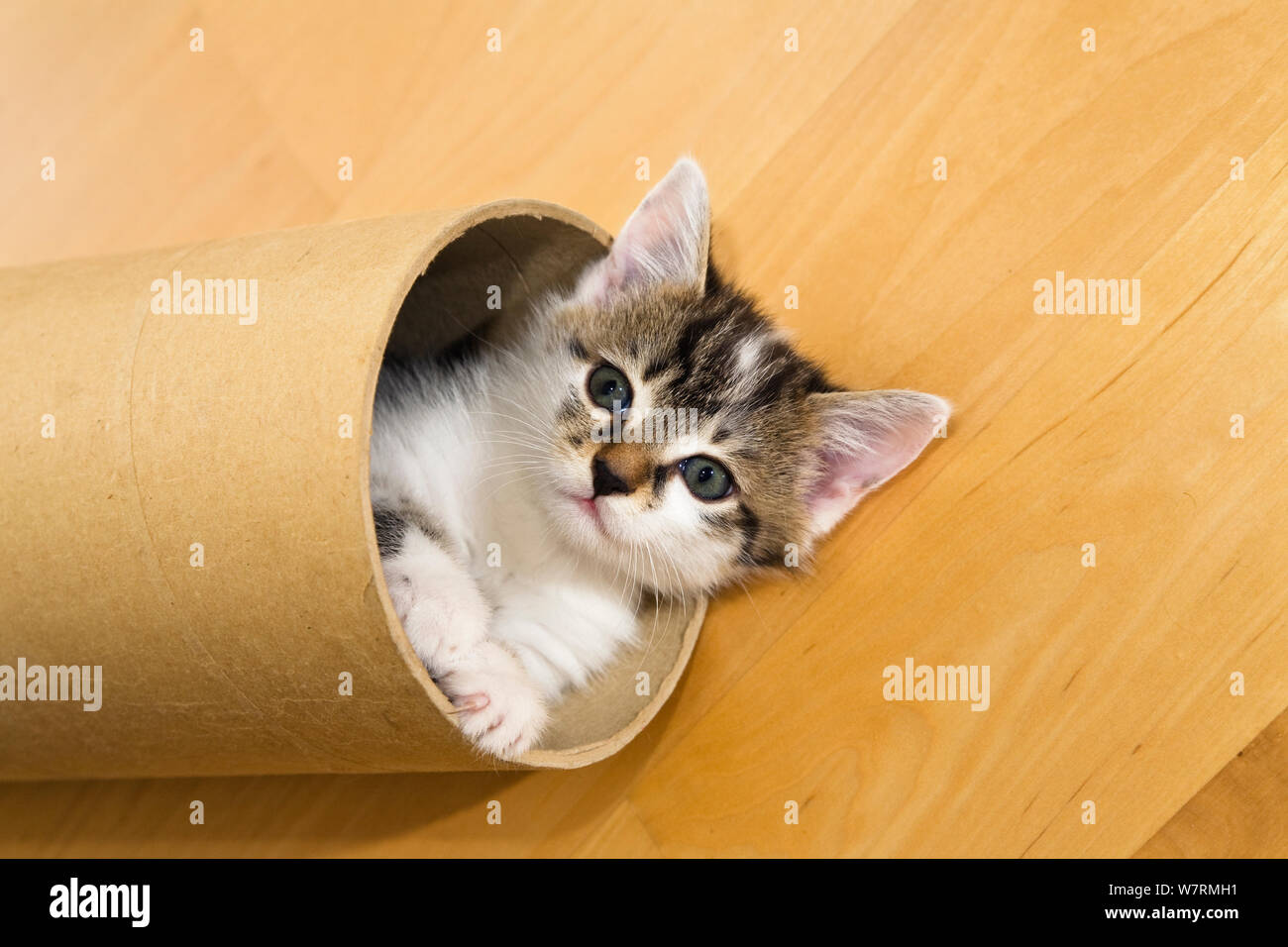 Juven hi-res stock photography and images - Alamy