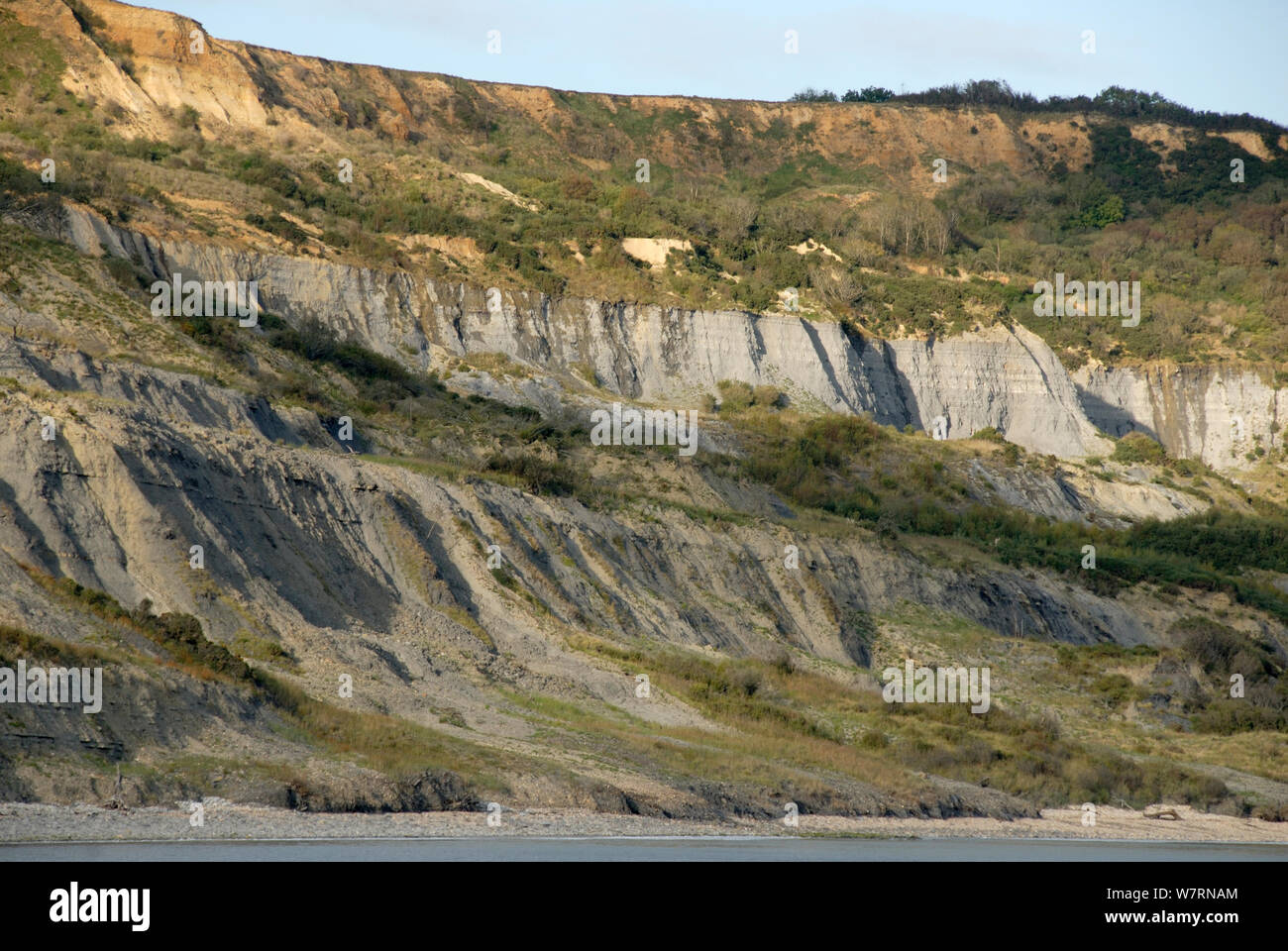 Black ven hi-res stock photography and images - Alamy