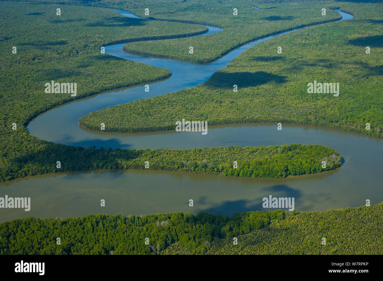 Aerial view of the River Kinabatangan and riverine tropical rainforest ...