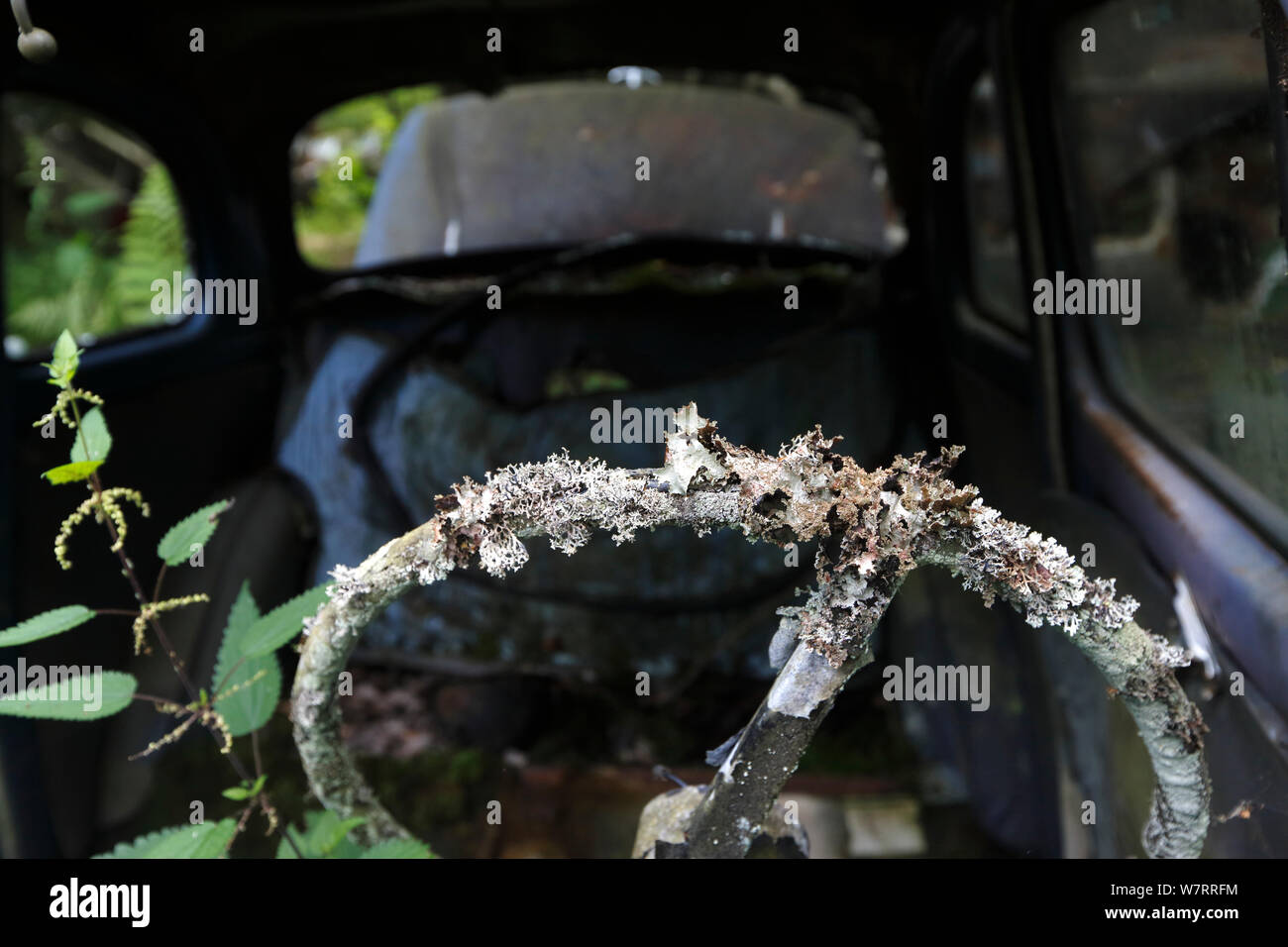 Car salvage yards hi-res stock photography and images - Alamy